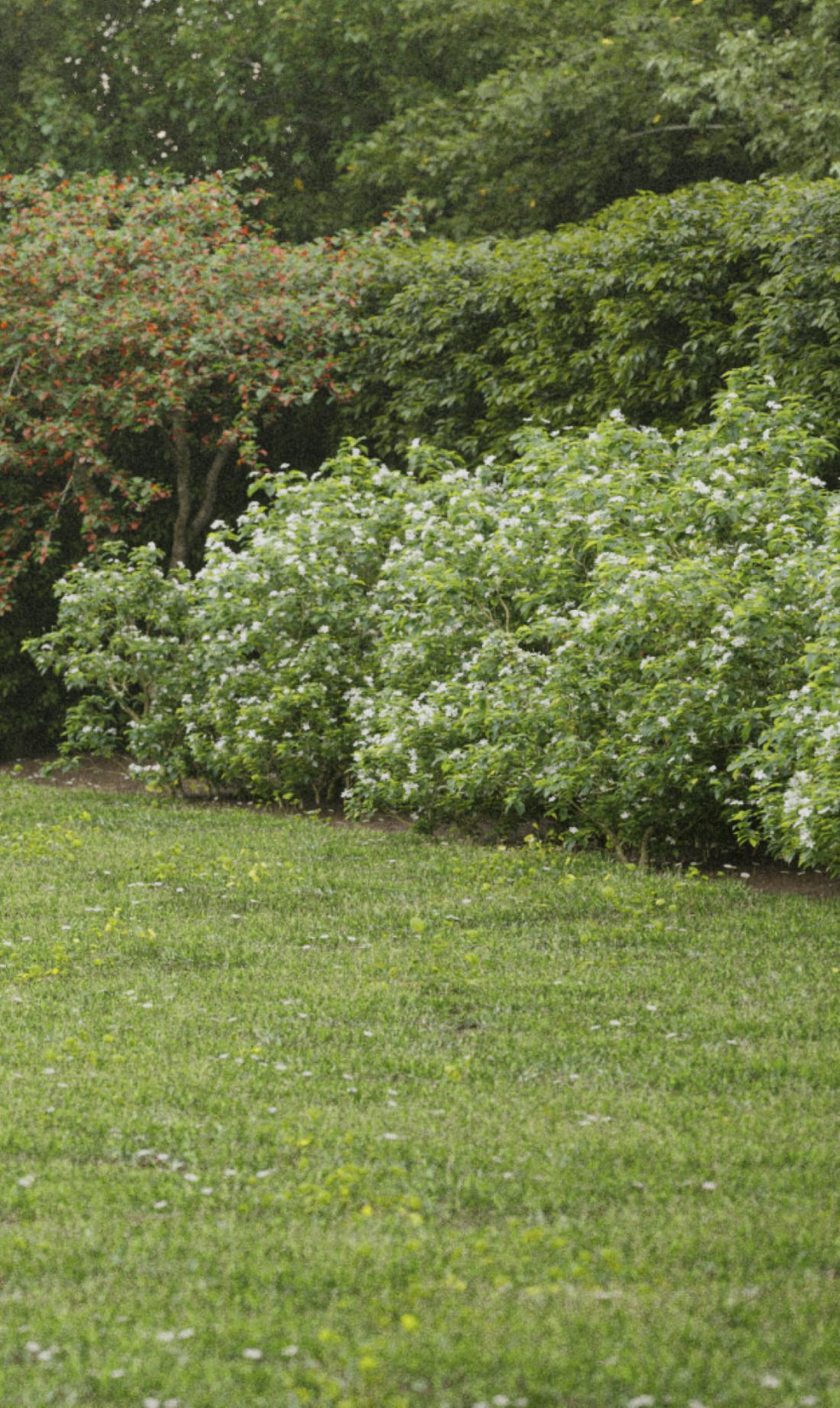 Samara - Backyard Homes and ADUs