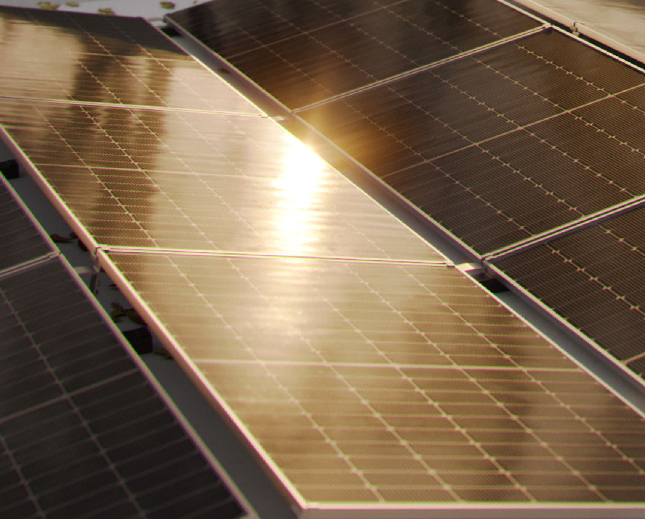 Samara - Backyard Homes and ADUs