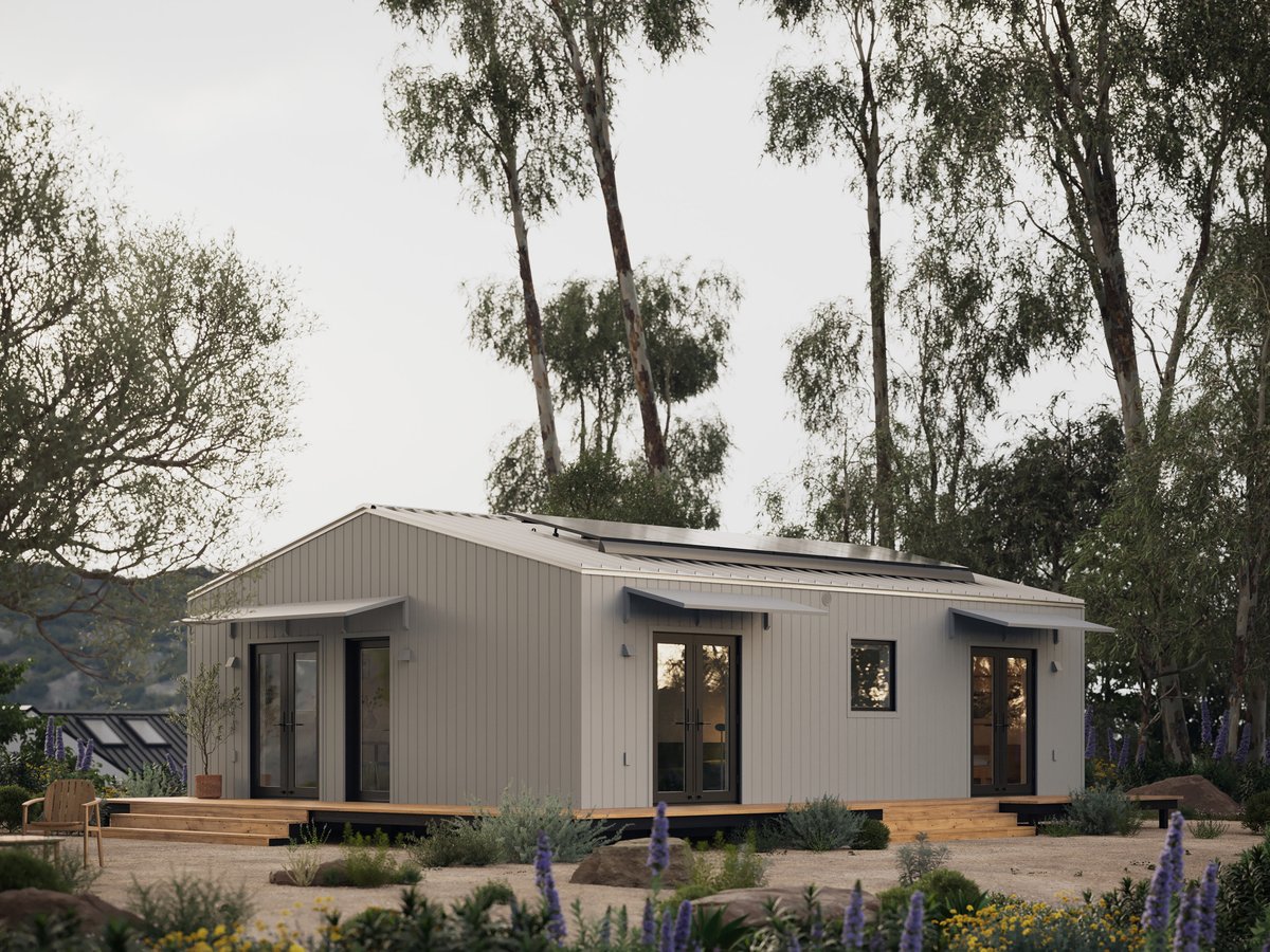 Introducing Backyard XL 8 — News — Samara